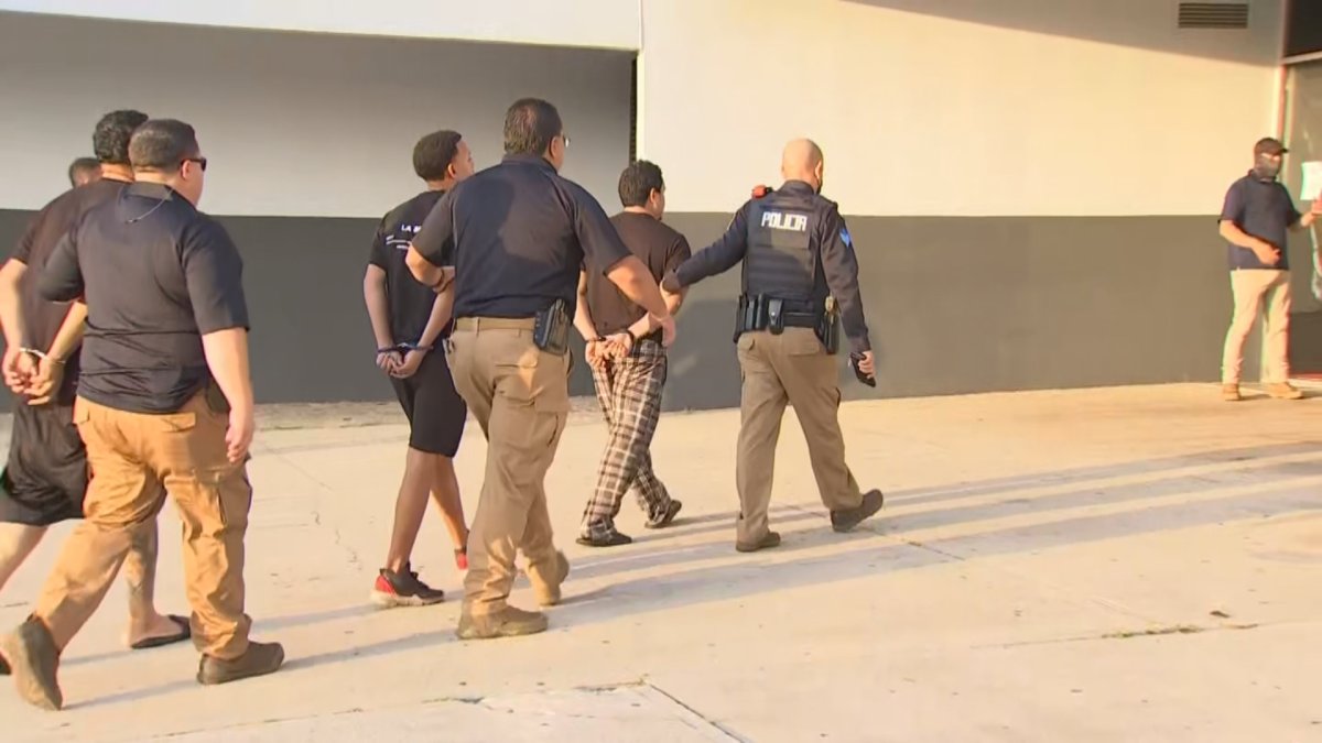 DEA y Policía ejecutan operativo contra organización dedicada al ...