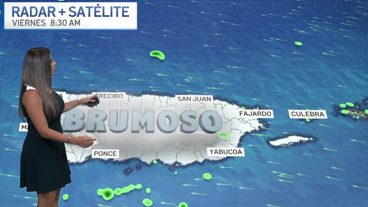 Peligrosa combinación: viernes brumoso con advertencia de calor ...