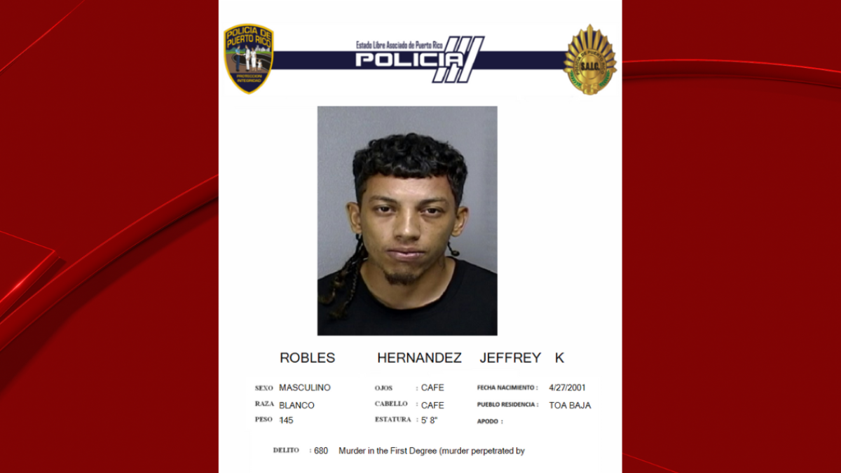 En prisión joven que habría atropellado a perro y disparó contra el ...