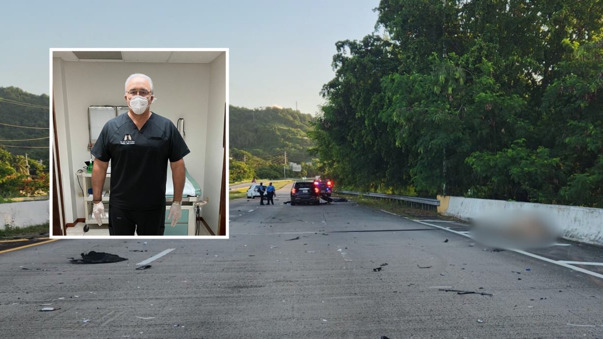Muere doctor tras accidente con ganado en la PR-53 – Telemundo Puerto Rico