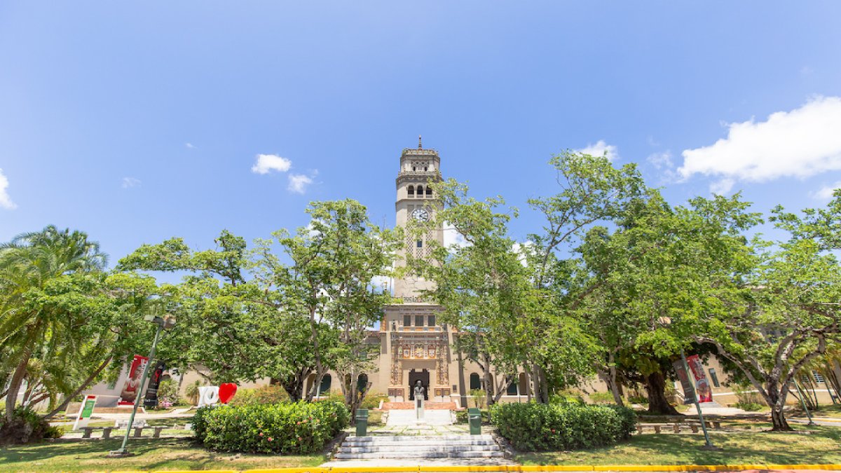 NASA y UPR de Río Piedras desarrollan sensor de lesiones cerebrales ...
