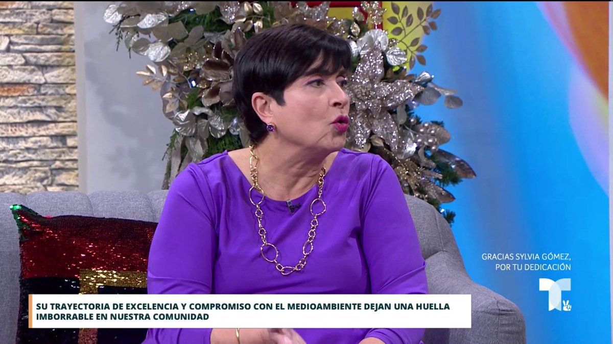 “Fue el destino”: Cómo el periodismo llegó a la vida de Sylvia Gómez ...