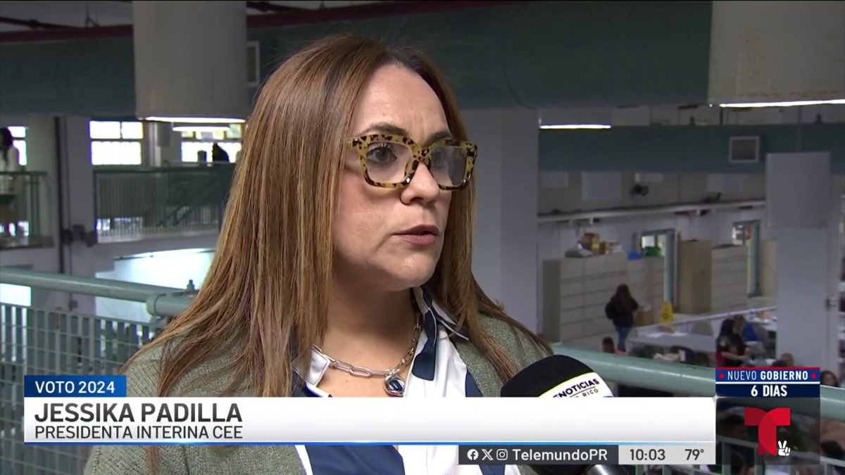 Presidenta alterna de la CEE confía en que culmine esta noche el conteo ...