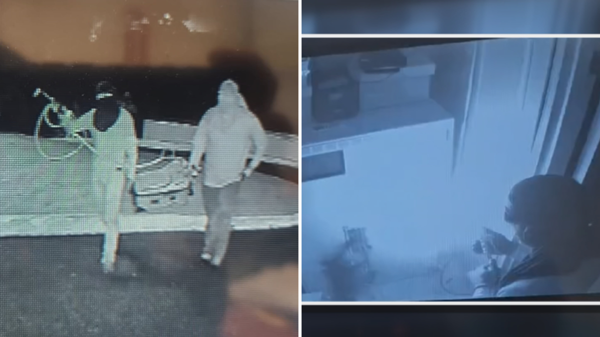 Pillos escalan cooperativa y se llevan $33 mil de una bóveda ...