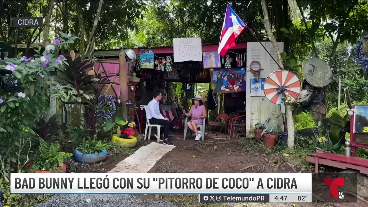 “Pitorro de coco” de Bad Bunny – Telemundo Puerto Rico