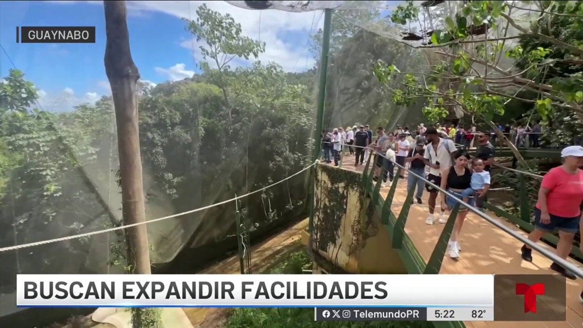 Ciudadanos disfrutan reapertura de La Marquesa – Telemundo Puerto Rico