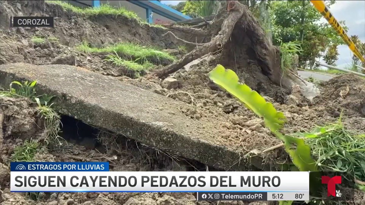 Derrumbe limita acceso de concurrida carretera en Corozal – Telemundo ...