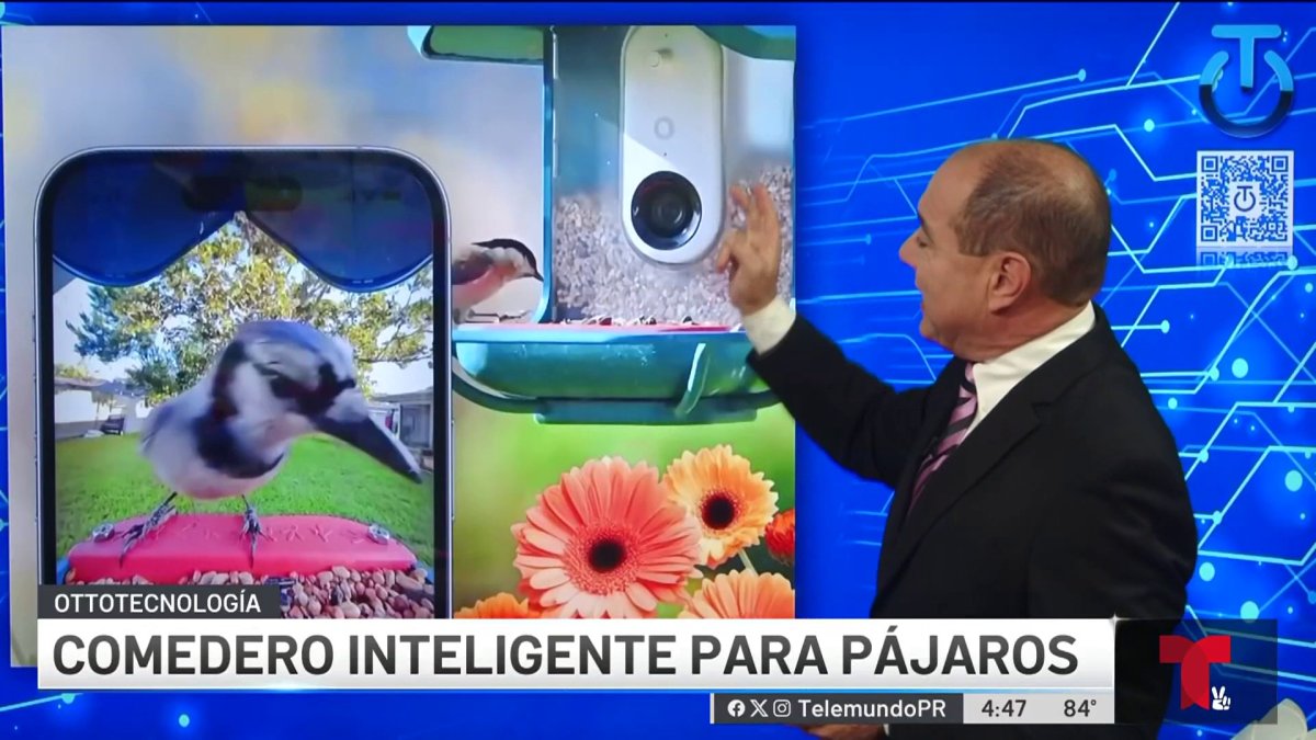 Comedero inteligente para pájaros – Telemundo Puerto Rico