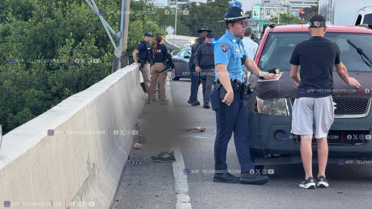 Hombre pierde la vida tras ser impactado por vehículo en expreso 22 ...