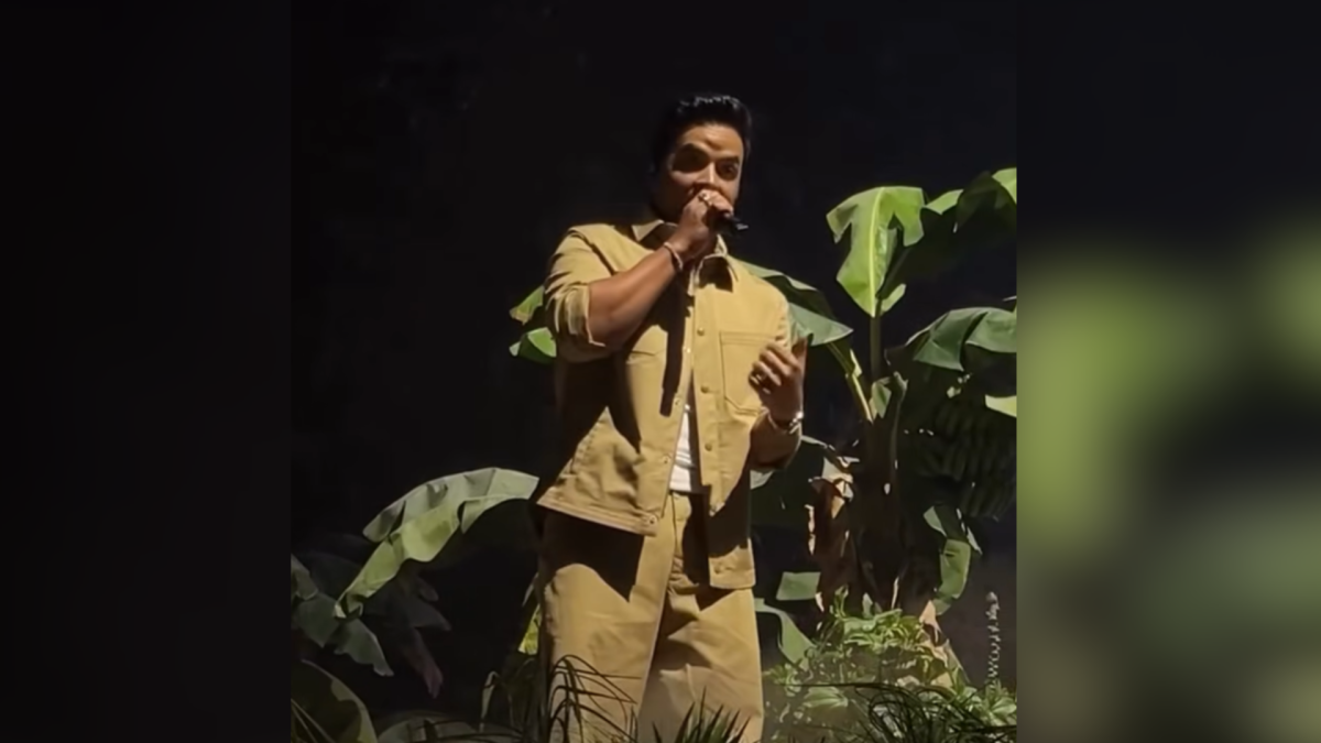 Luis Fonsi interpreta “LO QUE LE PASÓ A HAWAii” en concierto de Bad ...