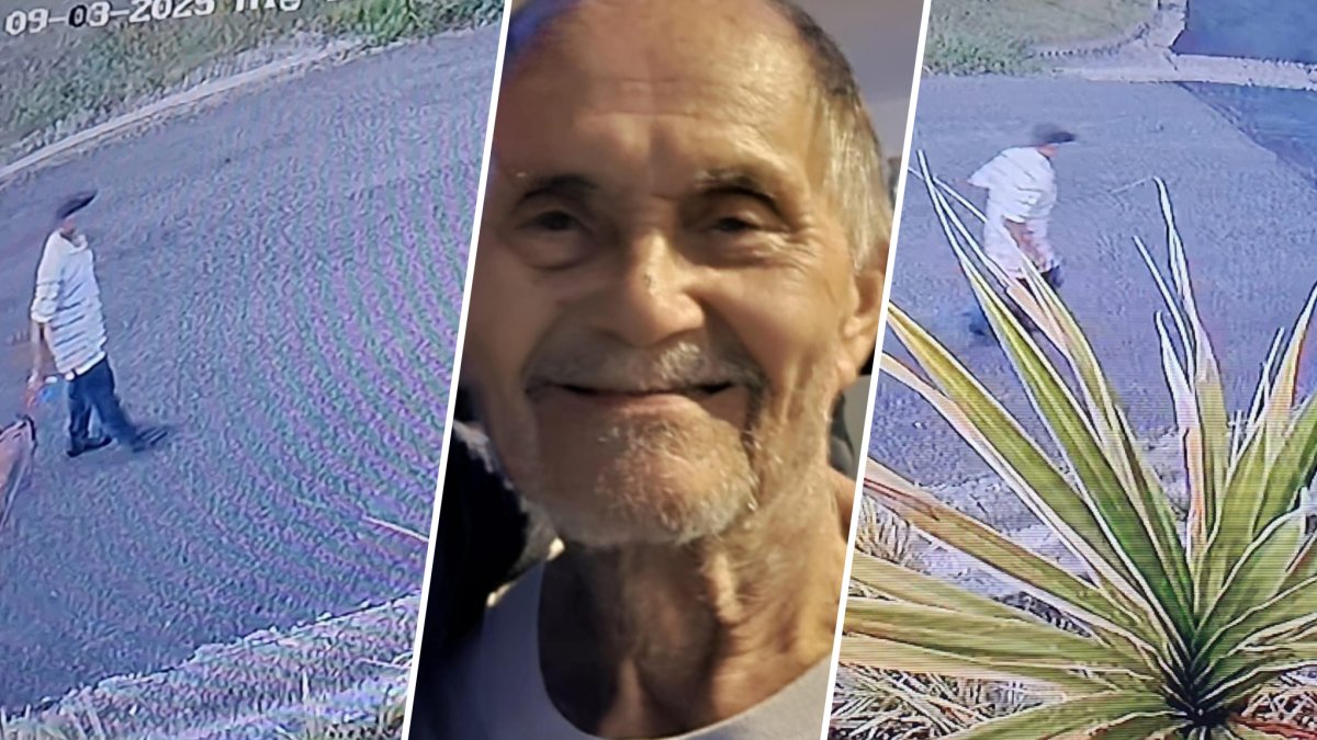 Activan Alerta Silver por desaparición de octogenario en Juncos ...