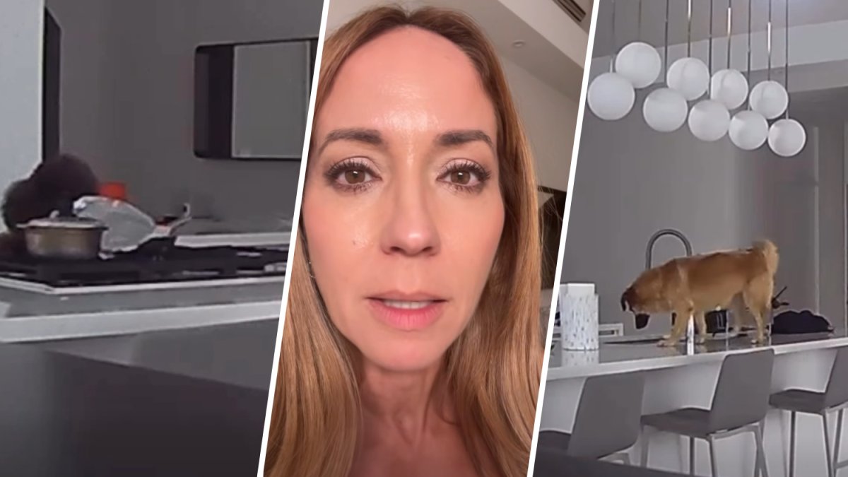 ¡Captados en cámara! Morena y Ofelio se comieron la cena de Alexandra ...