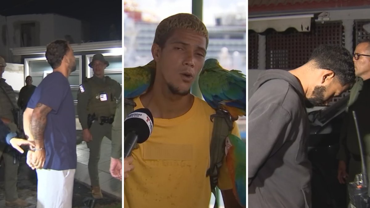 Cantantes y criador de guacamayos entre los arrestados en operativo ...