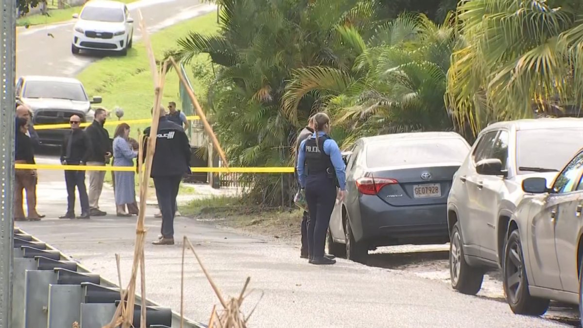 Investigan como feminicidio-suicidio hallazgo de pareja muerta en ...