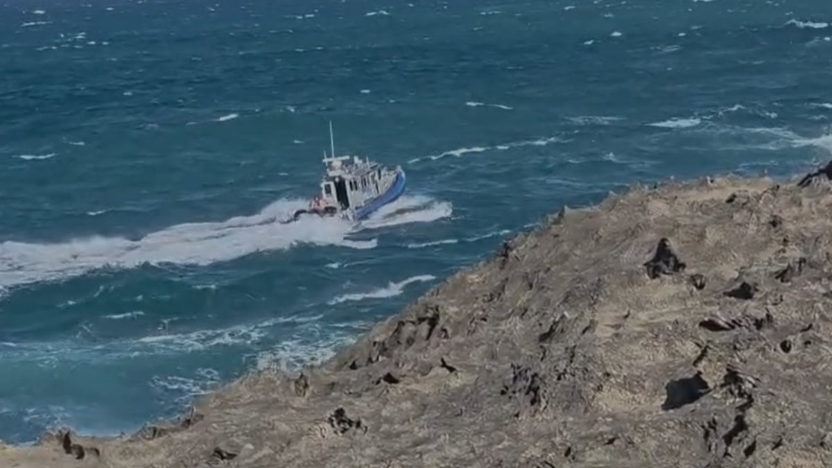 Buscan a joven arrastrado por corrientes en Arecibo; rescataron a uno ...