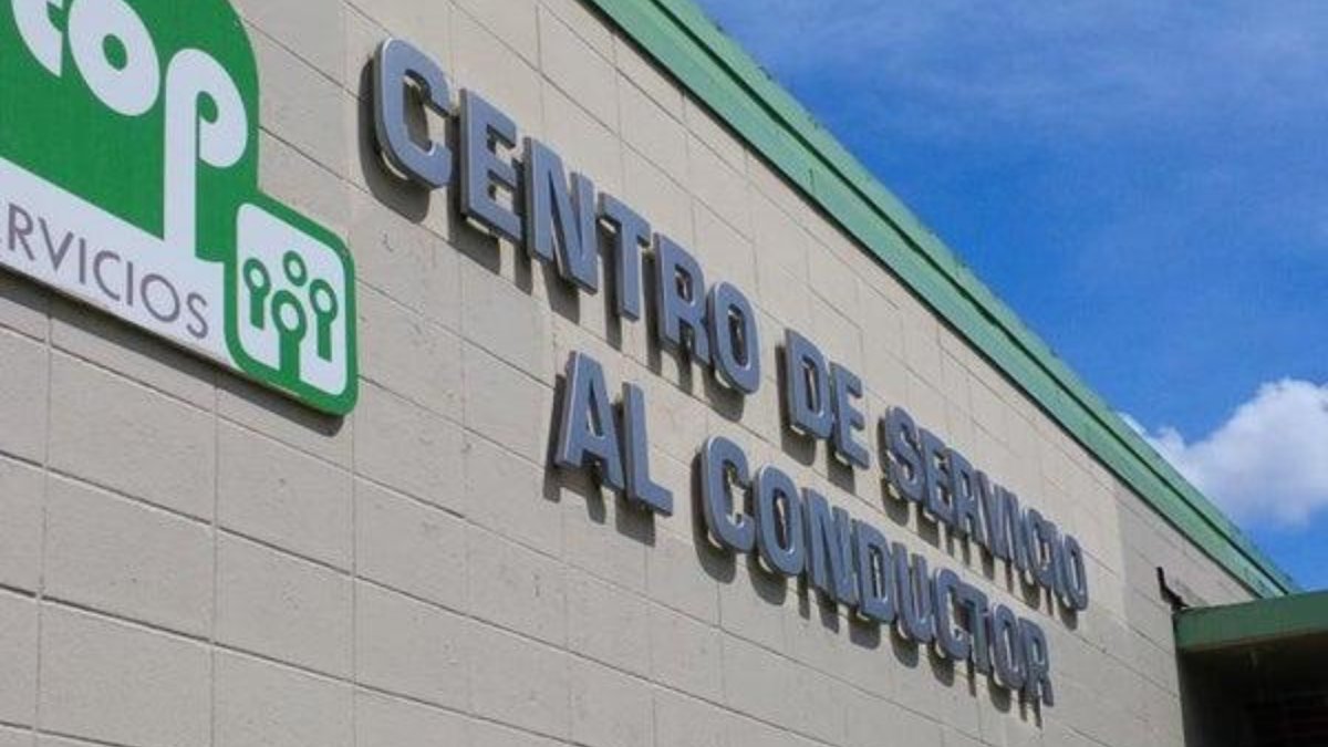DTOP extiende vigencia de licencias y marbetes – Telemundo Puerto Rico