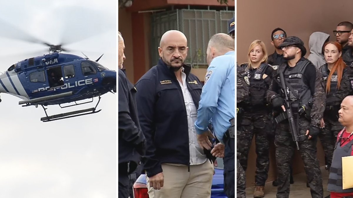 Operativo en Coamo: arrestan a cuatro personas e intervienen con ...