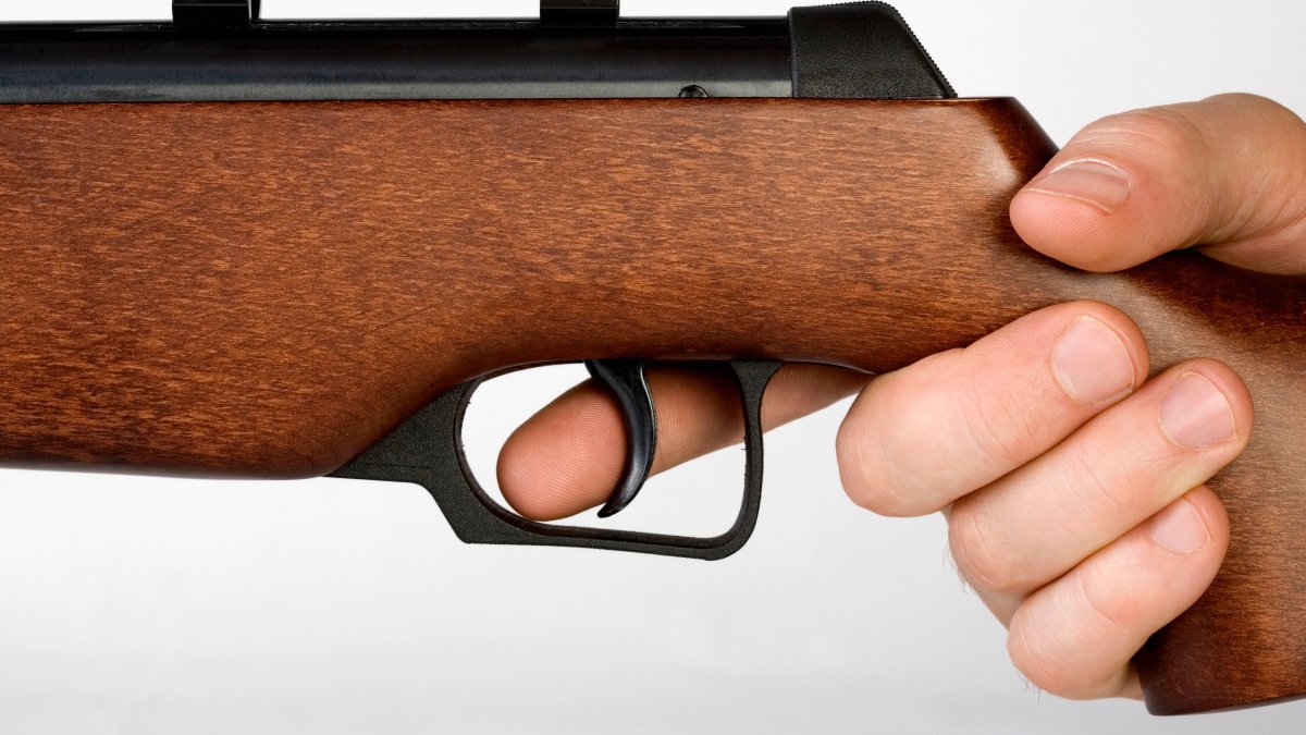 Permitirán pelotones de fusilamiento para agilizar ejecuciones ...